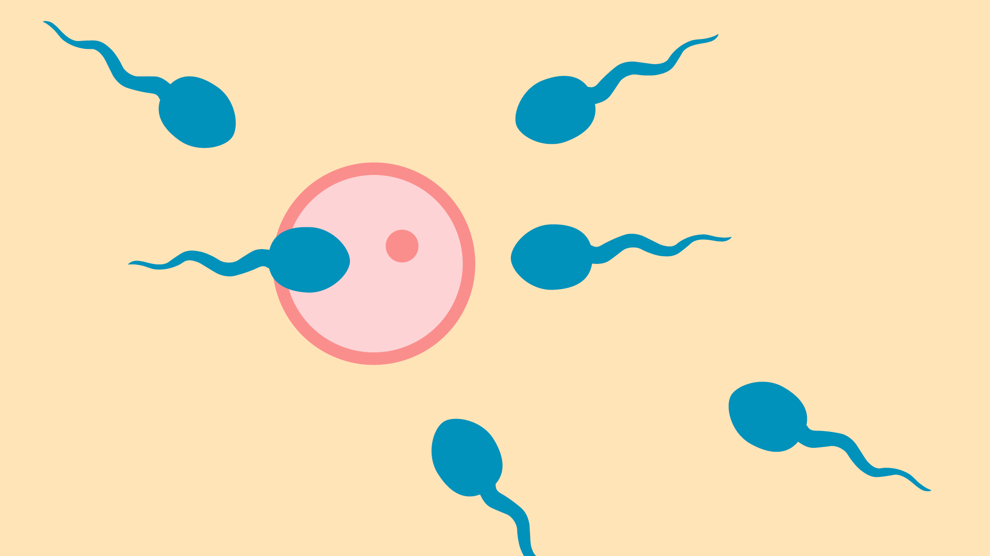 Gevolgen van een vroege overgang bij kanker