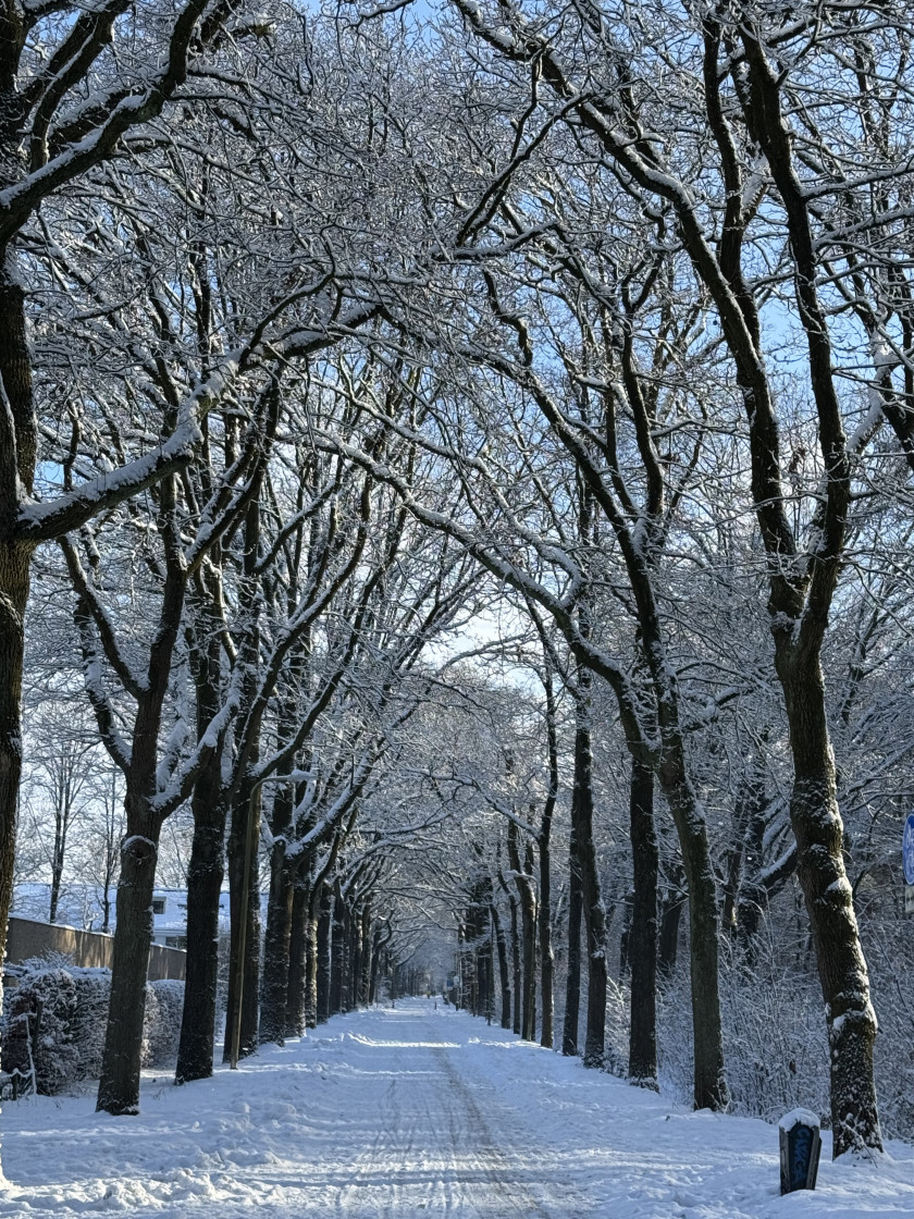 Waar zijn ineens al je vrienden? | Kanker.nl