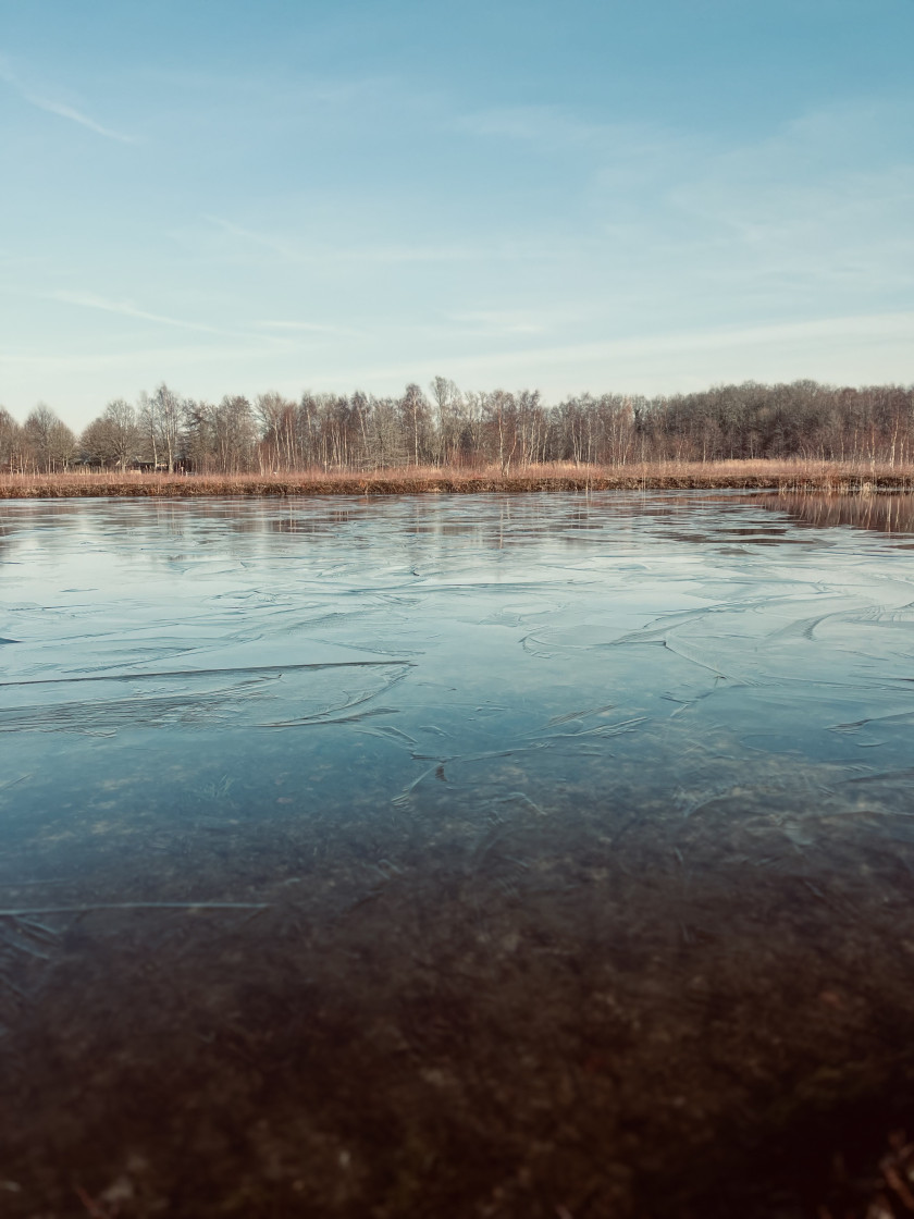 Blog deel 8. Hoop doet leven. | Kanker.nl