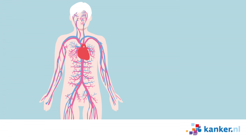Uitzaaiingen via het bloed