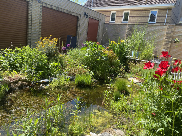 De tuin van de ziel | Kanker.nl