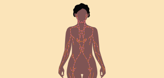 Lymfocyten, lymfeklieren en non-hodgkin | Kanker.nl