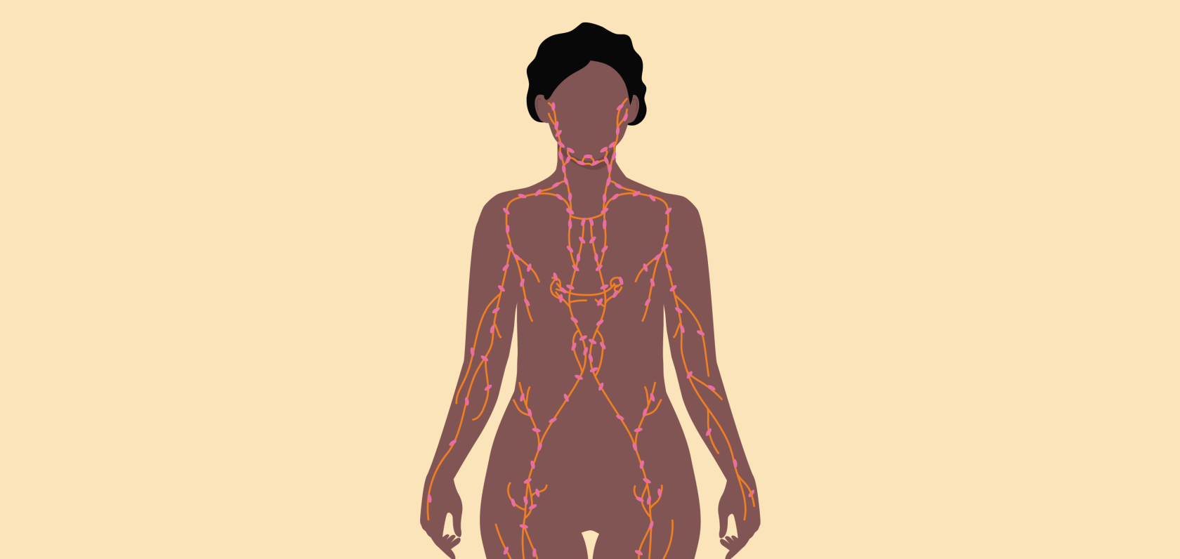 Informatie over het lymfestelsel | Kanker.nl